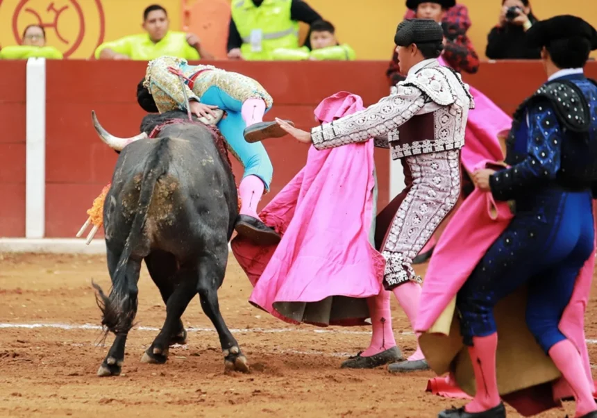 ¡Terror en la plaza! El torero mexicano Emilio Macías recibe una ...