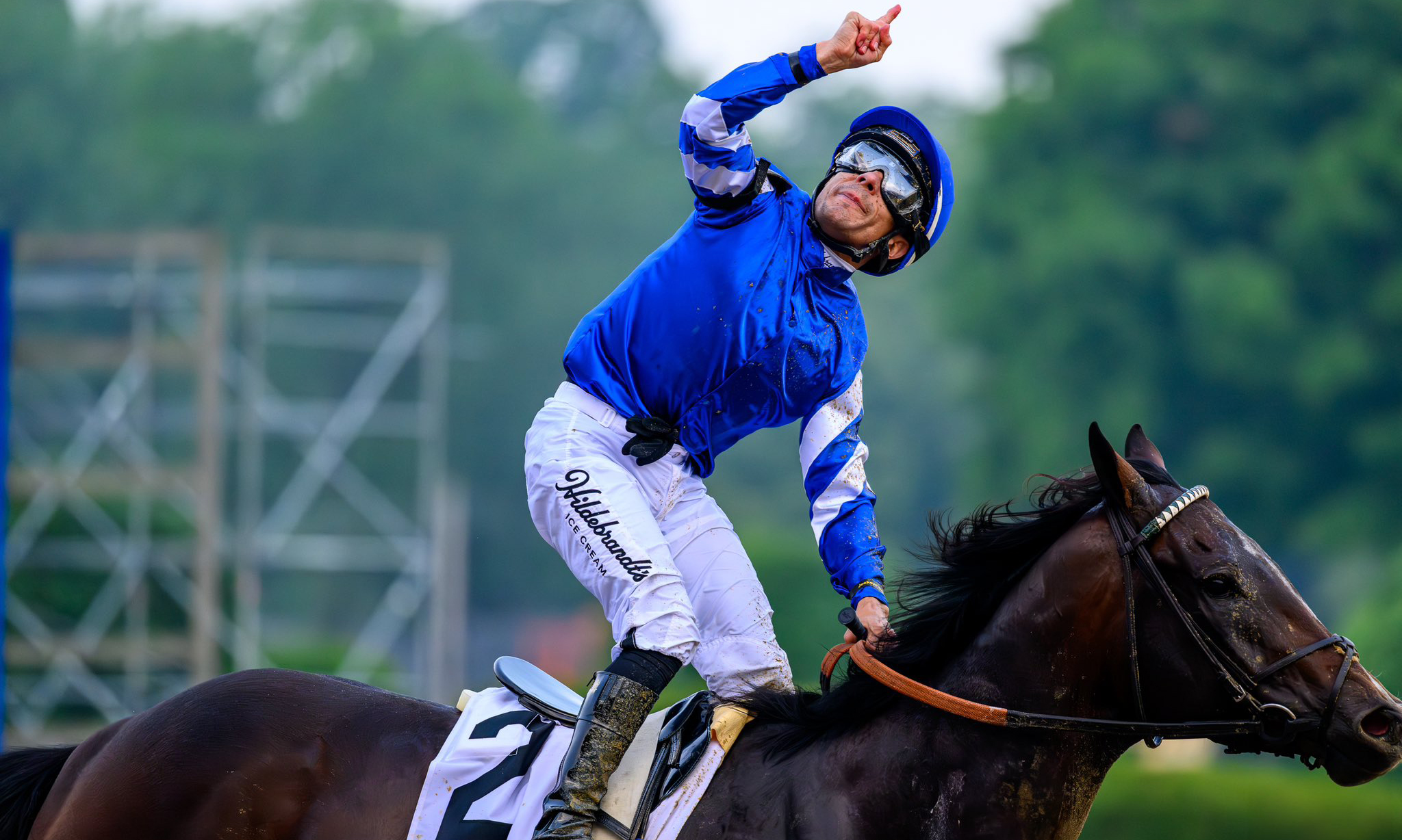 ¡Junior Alvarado se corona en el Belmont Stakes! – Diario Contraste ...