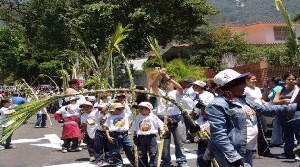 Palmeros de Venezuela conmemoran su aniversario como patrimonio ...